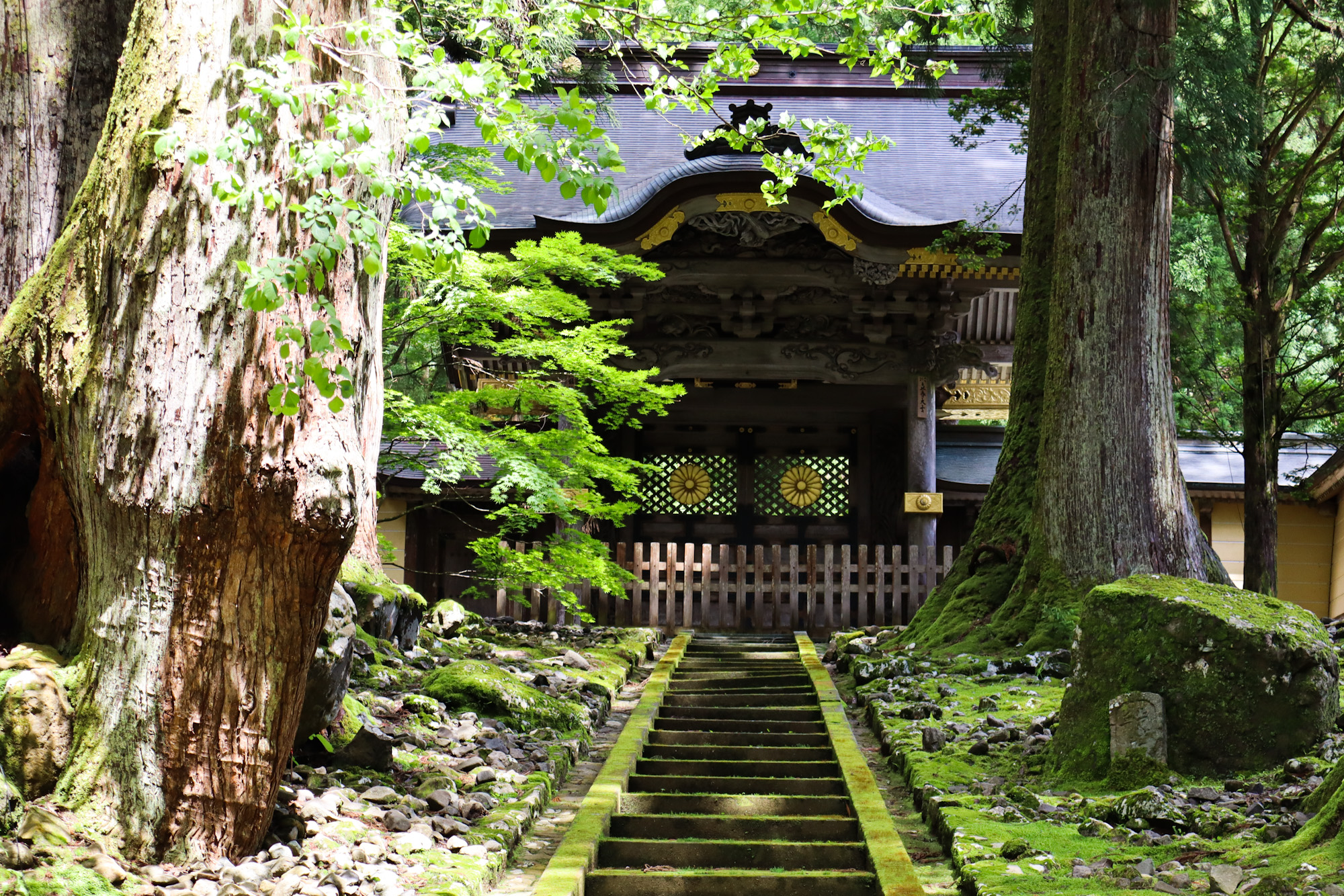 Fukui City (Fukui Prefecture) | Experience Japan Travel